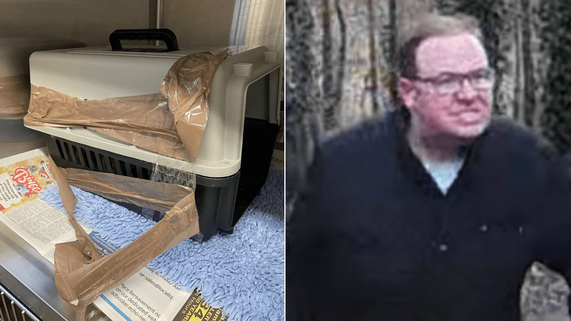 Rescuers Opened A Taped-Up Pet Carrier That Had Been Thrown Over A ...
